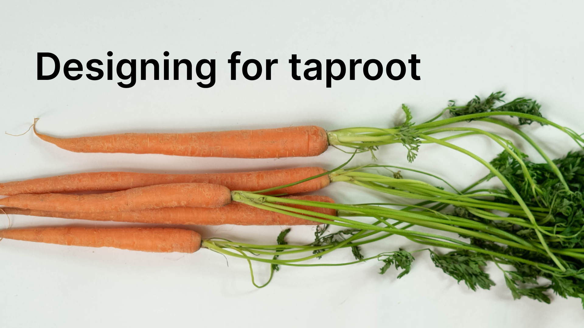 Designing for taproot - Stephen DeLorme